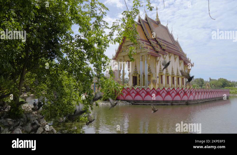 Thai lake temple Stock Videos & Footage - HD and 4K Video Clips - Alamy