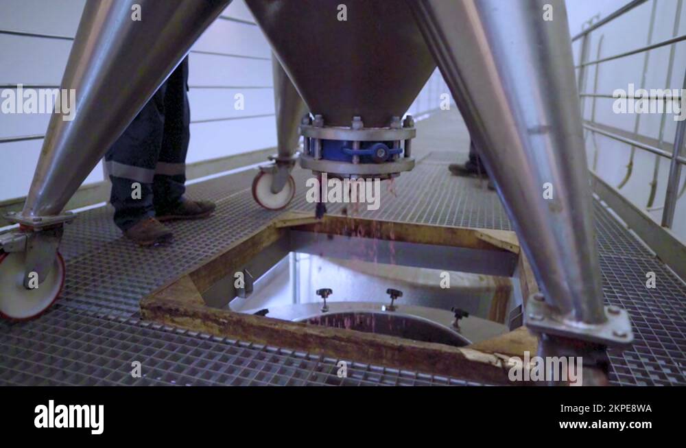 Crushed grapes falling down a funnel into a stainless steel tank, wine ...