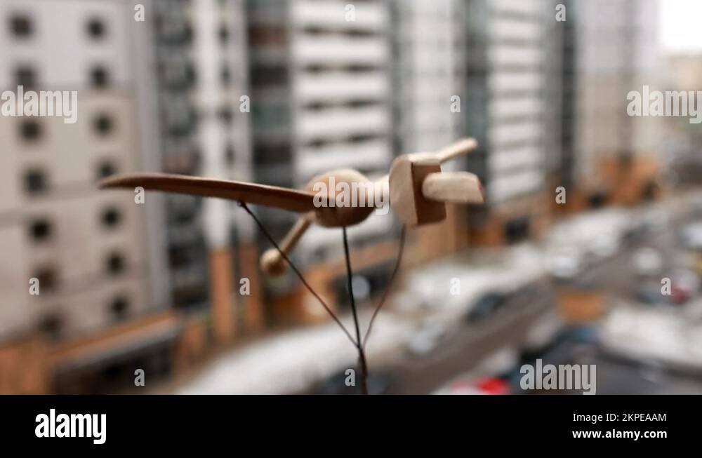 Bird flying over city Stock Videos & Footage - HD and 4K Video Clips ...