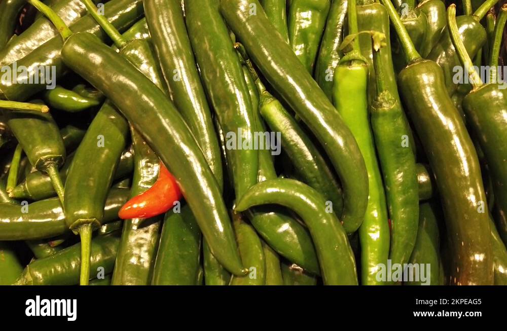 How to store chillies Stock Videos & Footage - HD and 4K Video Clips ...