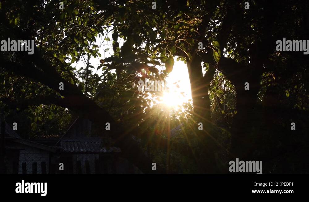 Long rays Stock Videos & Footage - HD and 4K Video Clips - Alamy