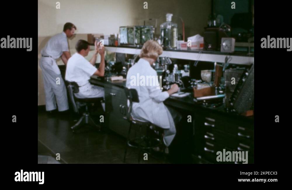 1970s: microbiologists work in lab setting. Lady looks down microscope ...