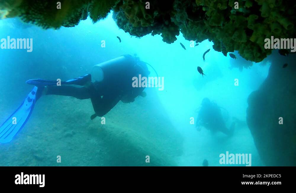 Diving cabo pulmo Stock Videos & Footage - HD and 4K Video Clips - Alamy