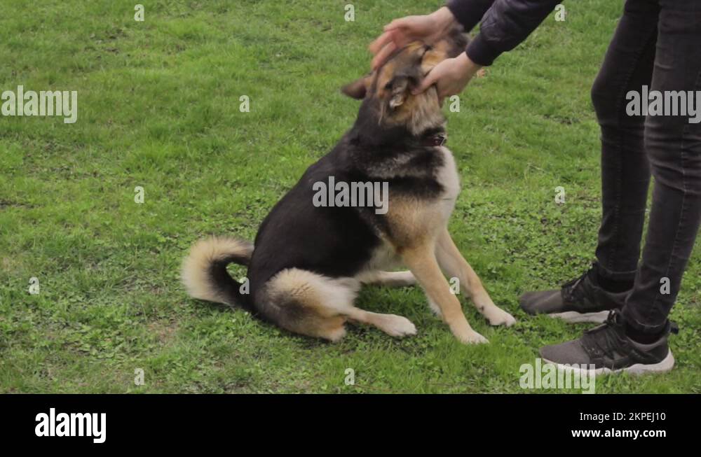 Asking for safety Stock Videos & Footage - HD and 4K Video Clips - Alamy