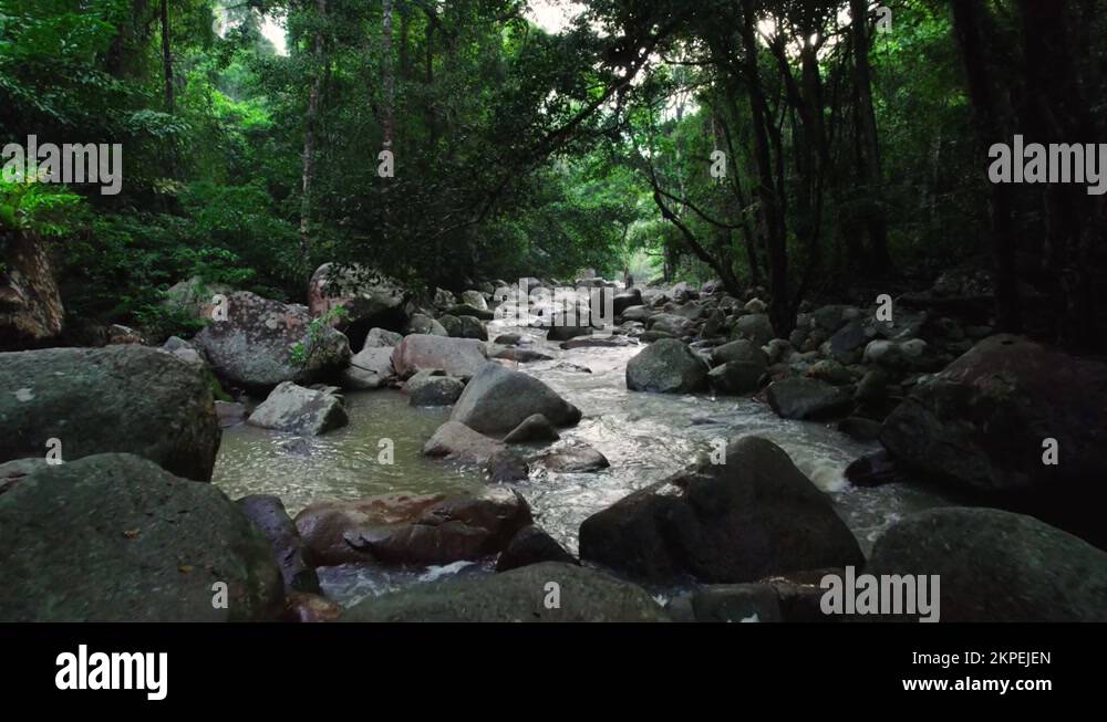 Healthy river water Stock Videos & Footage - HD and 4K Video Clips - Alamy