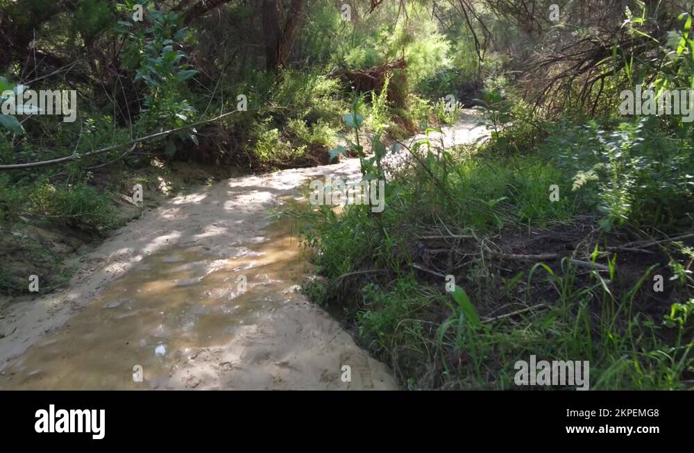 Rainwater washes across a sandy hiking trail or riverbed in the ...