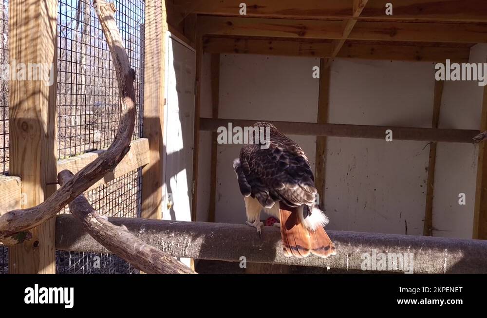 Safety enclosure Stock Videos & Footage - HD and 4K Video Clips - Alamy