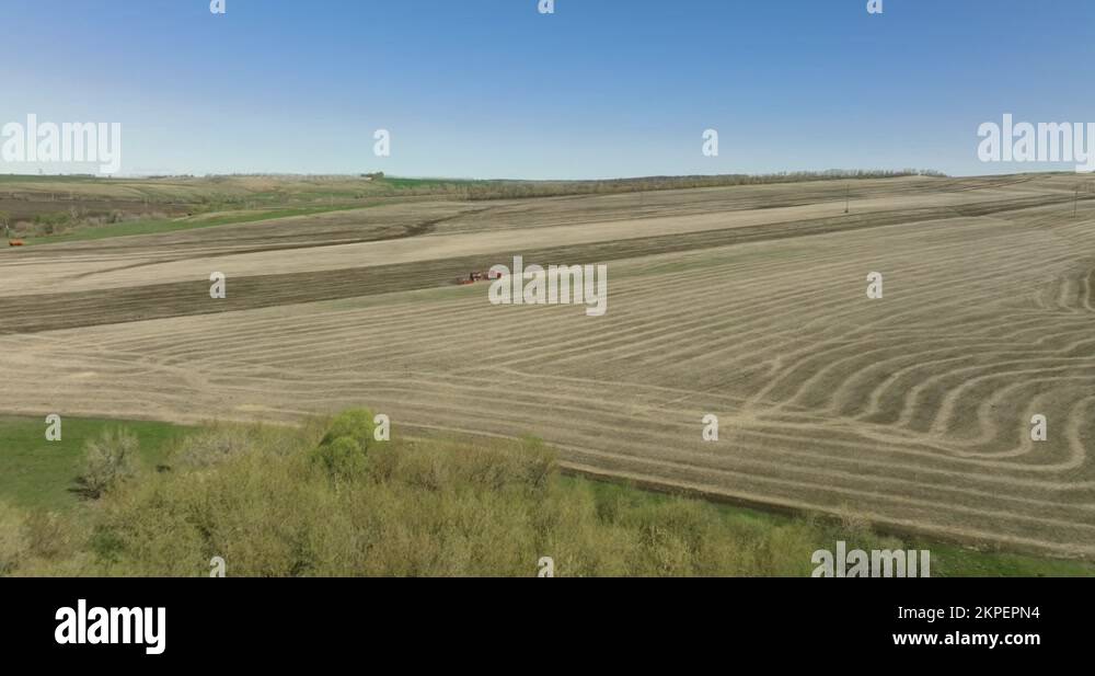 Tractor sowing seeds with seeder driller in field. Process of sowing ...