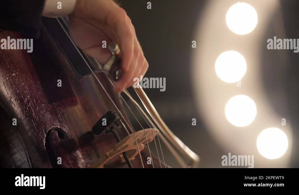 Bow stringed instruments Stock Videos & Footage - HD and 4K Video Clips ...