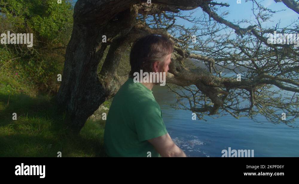 Man sitting beside tree Stock Videos & Footage - HD and 4K Video Clips ...