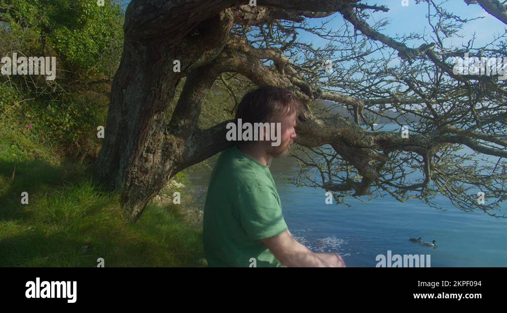 Man sitting under shade tree Stock Videos & Footage - HD and 4K Video ...