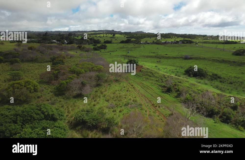 Hawaiian countryside Stock Videos & Footage - HD and 4K Video Clips - Alamy