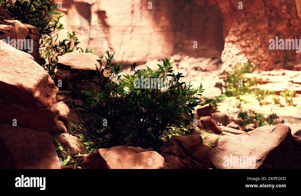 Cave in an extinct volcano on the island Stock Video Footage - Alamy