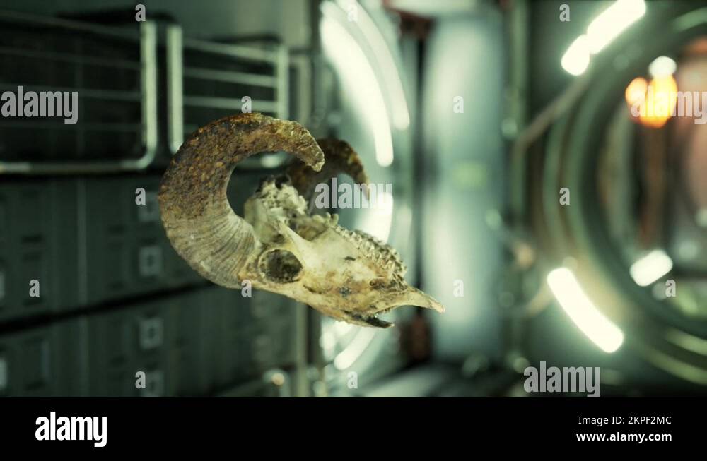 skull of dead ram in international space station Stock Video Footage ...