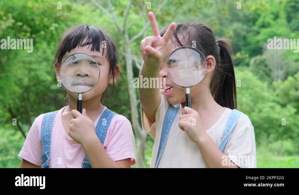 Learn and explore Stock Videos & Footage - HD and 4K Video Clips - Alamy