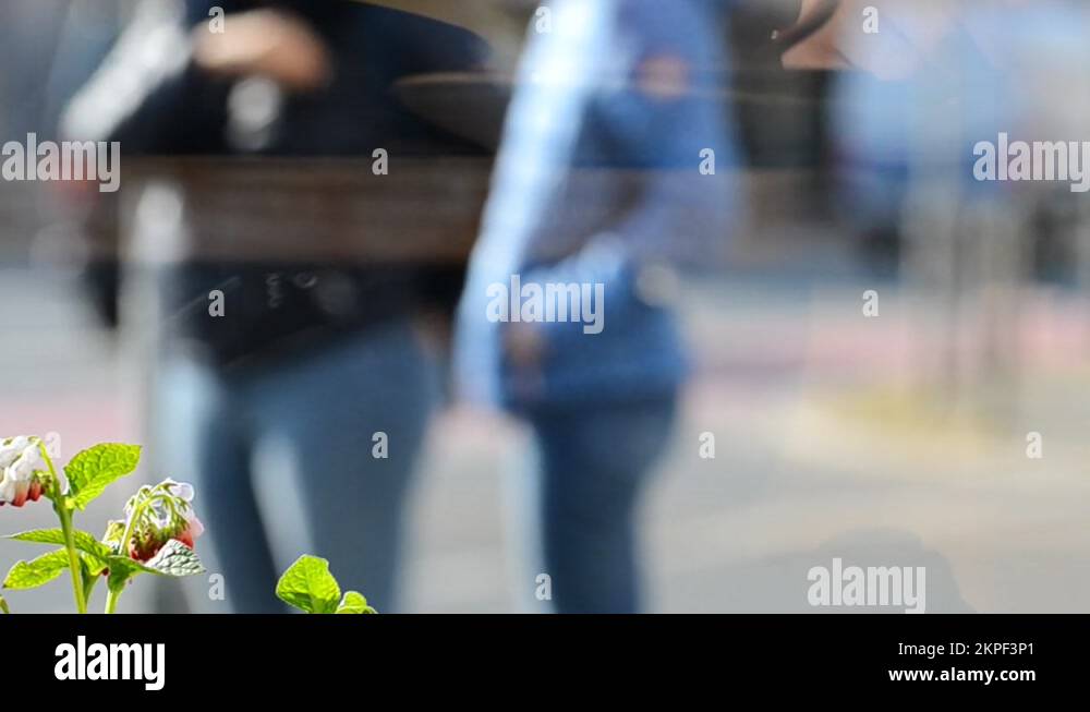 Two women waiting at a traffic light in the bokeh background of a ...
