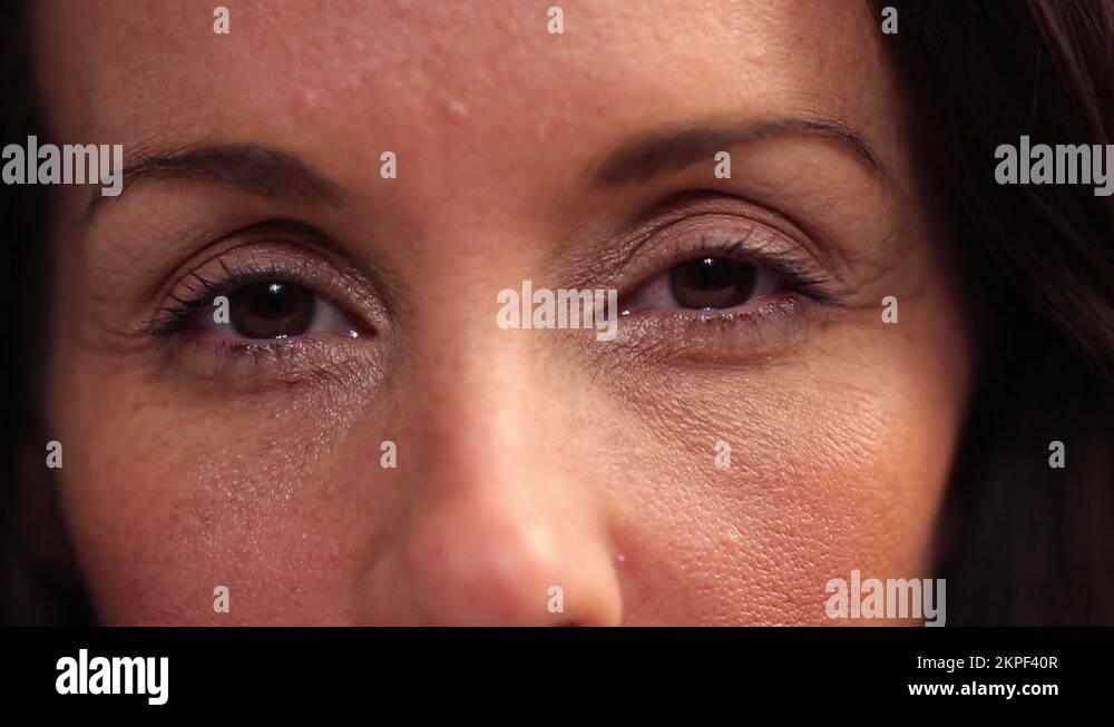 Proboscis face Stock Videos & Footage - HD and 4K Video Clips - Alamy