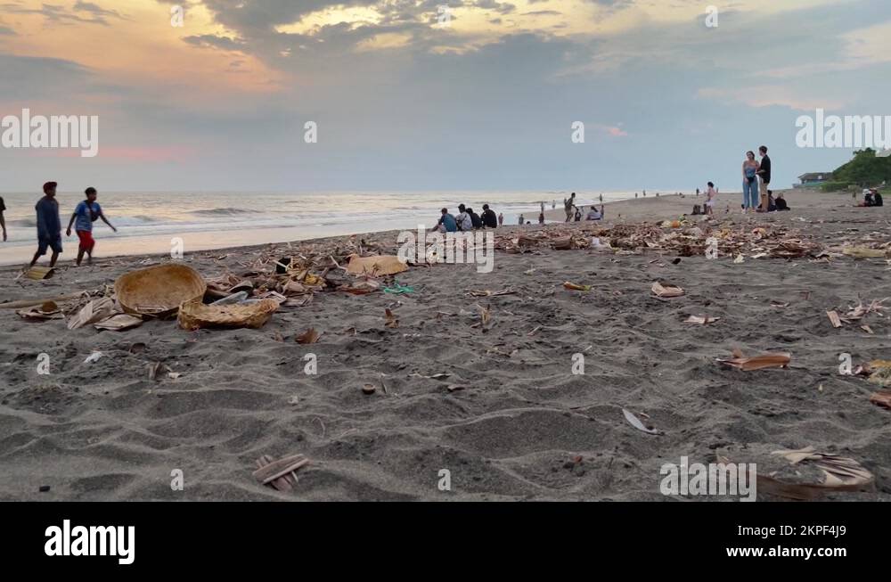 Polluted beach 2022 Stock Videos & Footage - HD and 4K Video Clips - Alamy