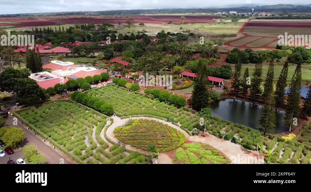 Dole plantation Stock Videos & Footage - HD and 4K Video Clips - Alamy