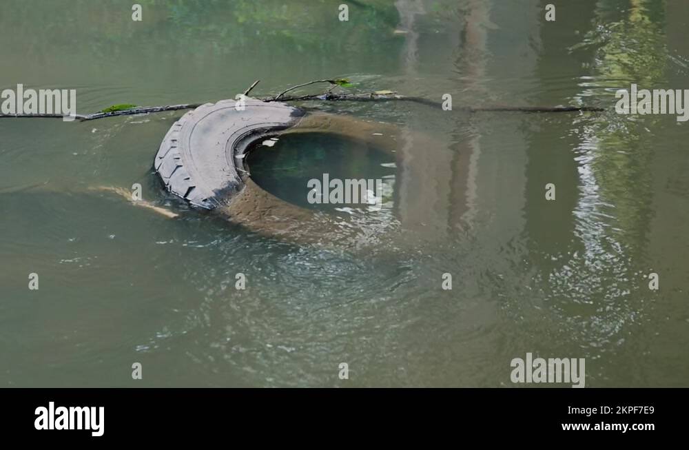 Old discarded gray car tire is stuck and lies in the center of a ...