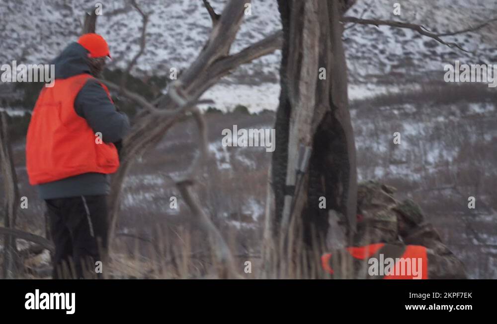 Deer activity Stock Videos & Footage - HD and 4K Video Clips - Alamy