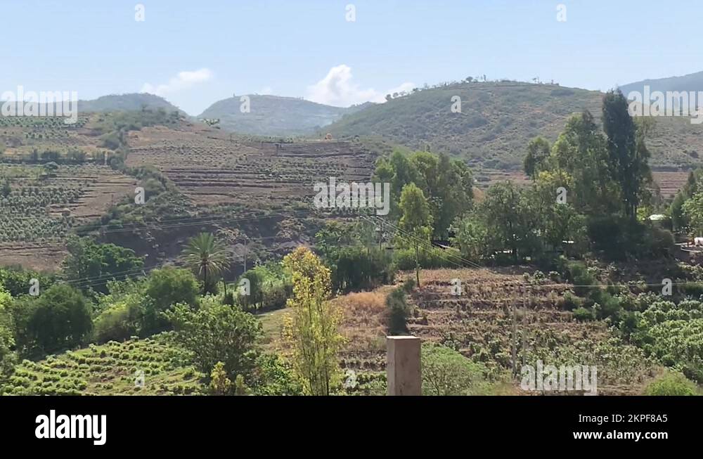 Harar ethiopia house Stock Videos & Footage - HD and 4K Video Clips - Alamy