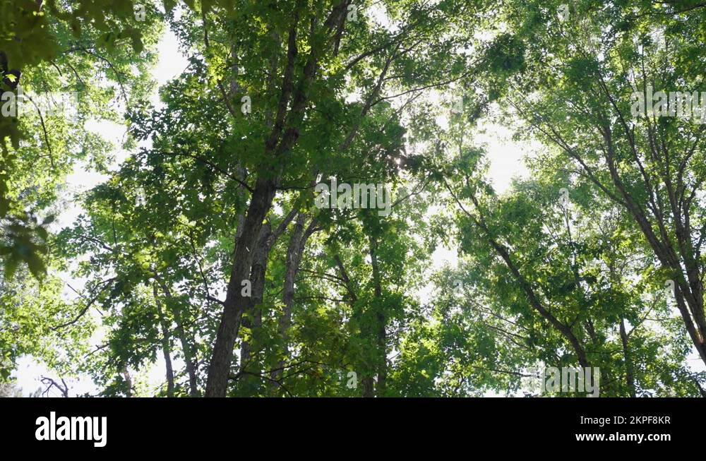 Camera orbit Stock Videos & Footage - HD and 4K Video Clips - Alamy