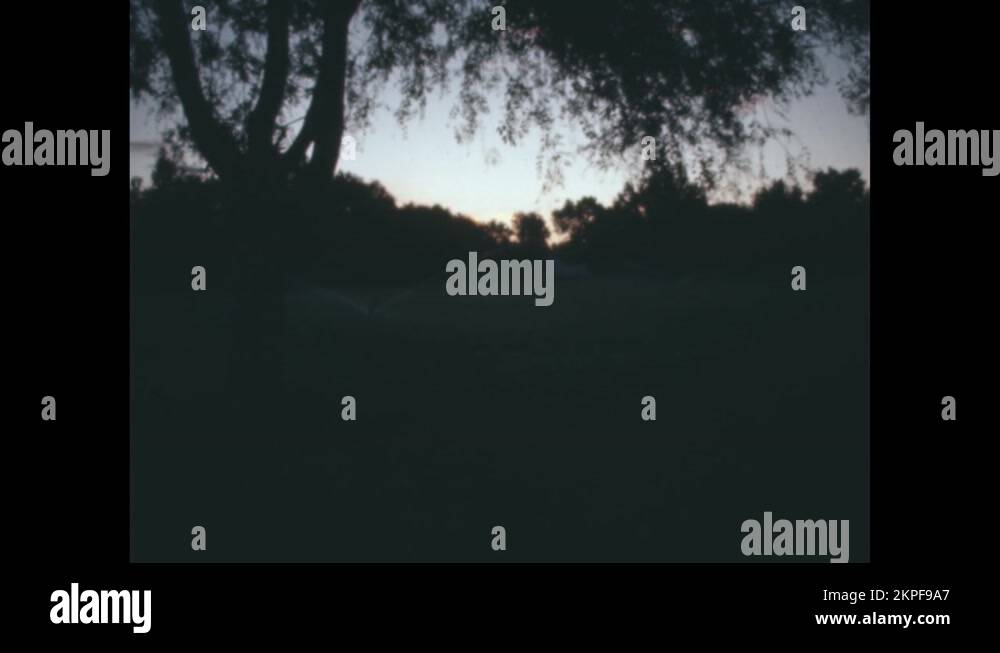 Woods setting Stock Videos & Footage - HD and 4K Video Clips - Alamy