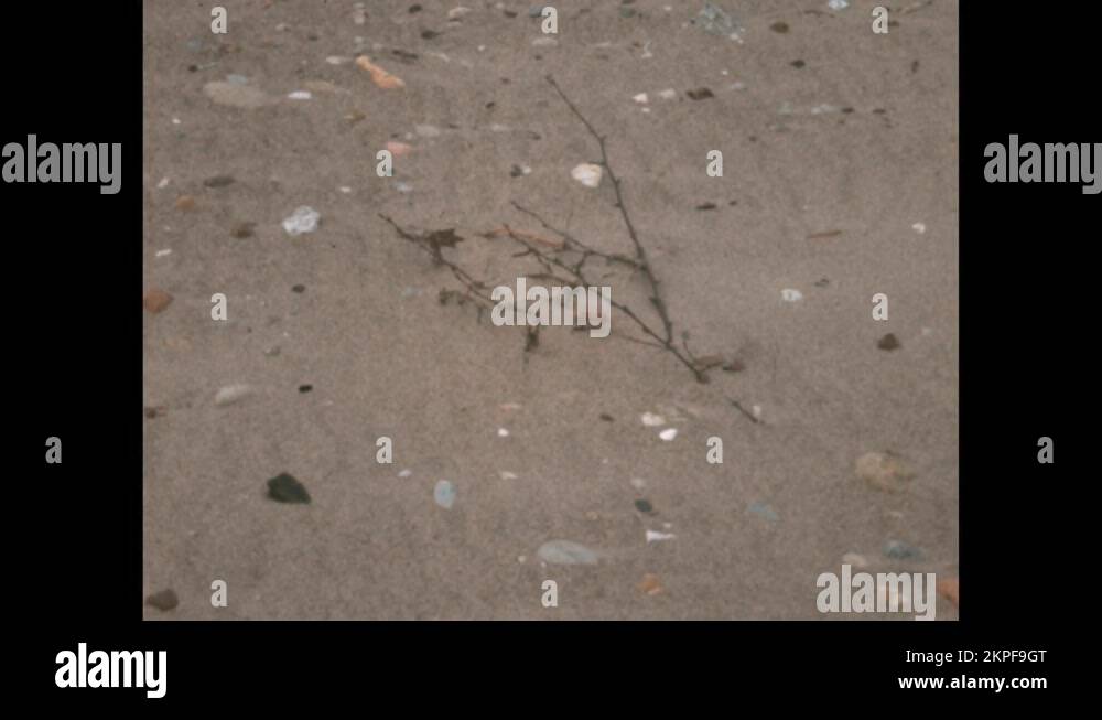 Strewn rocks Stock Videos & Footage - HD and 4K Video Clips - Alamy