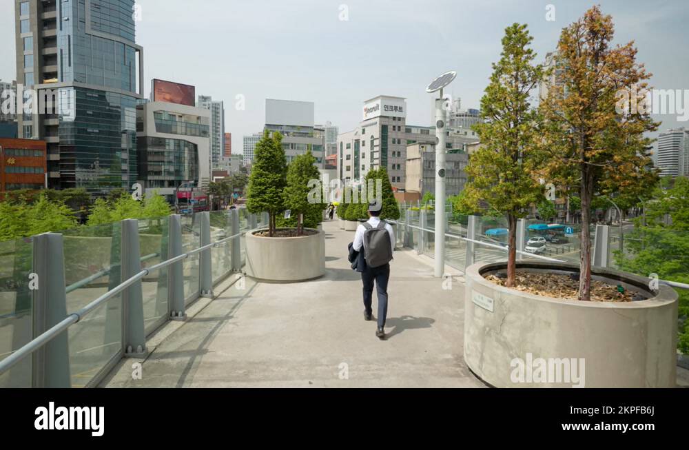 Trees are planted on the Seoullo 7017 elevated sky park in Seoul, South ...
