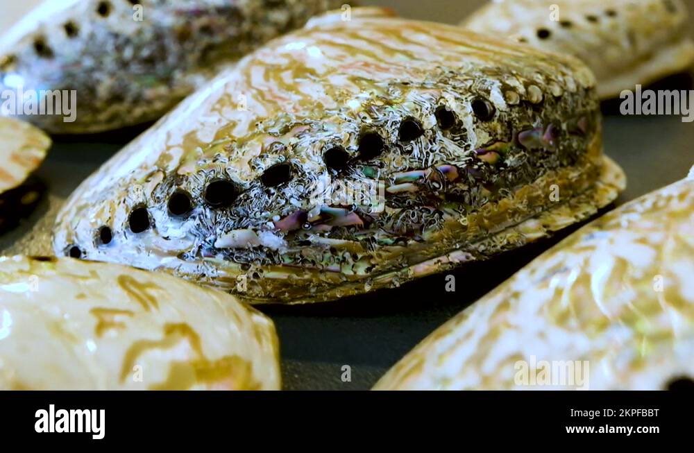 Uniquepatterns Stock Videos & Footage - HD and 4K Video Clips - Alamy