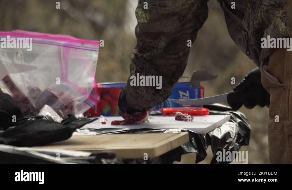 Hunter Preparing Deer Meat On Table By Cutting It Into Pieces Stock ...