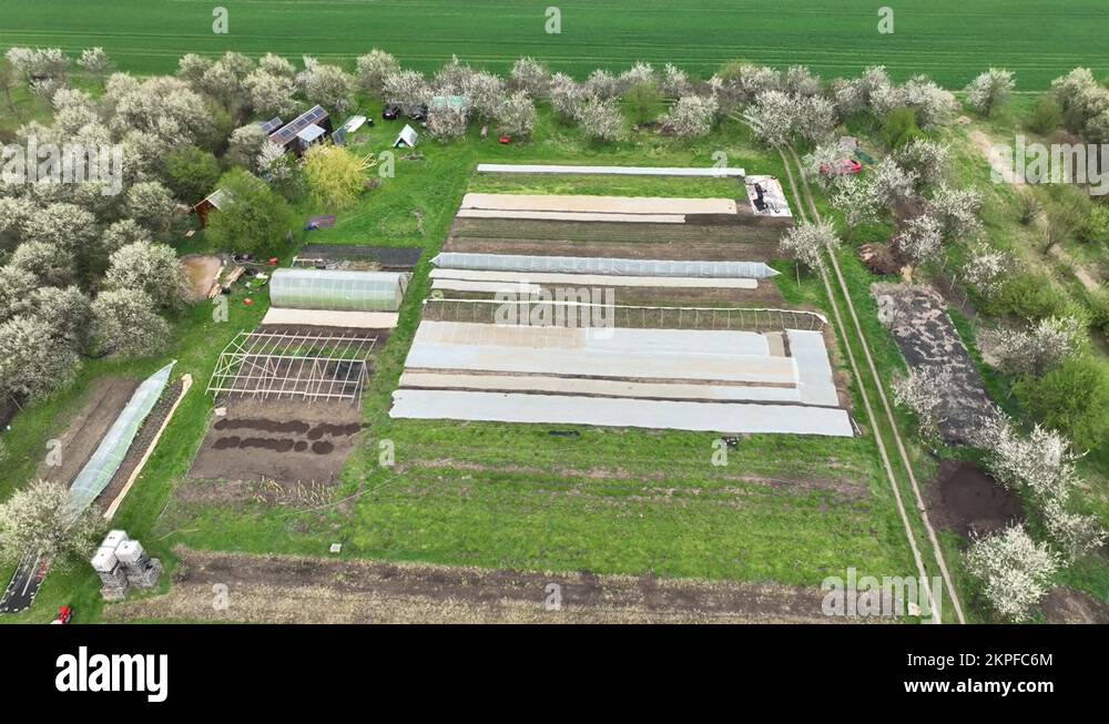 Bio spinach farm field Stock Videos & Footage - HD and 4K Video Clips ...