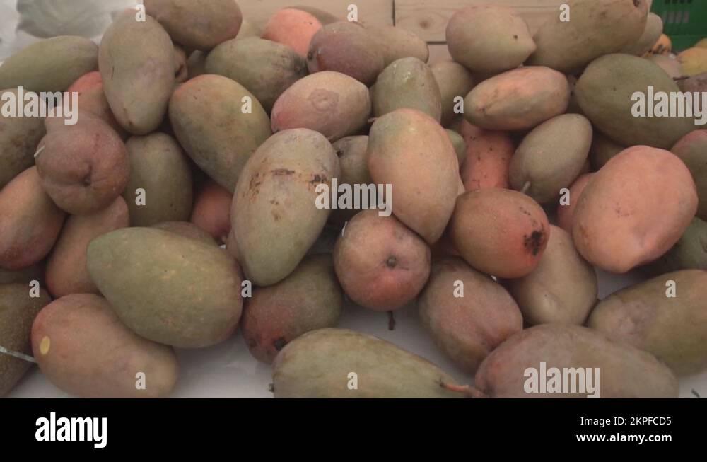 Mango fruit stall Stock Videos & Footage - HD and 4K Video Clips - Alamy
