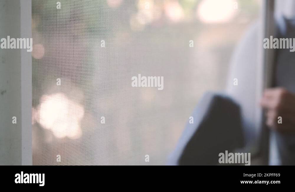 Dust net Stock Videos & Footage - HD and 4K Video Clips - Alamy