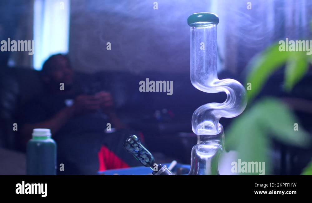 Couch grass weed Stock Videos & Footage - HD and 4K Video Clips - Alamy