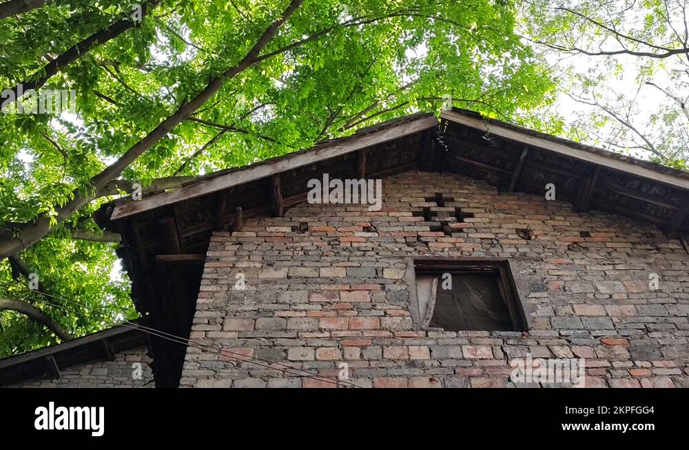 Stilted building Stock Videos & Footage - HD and 4K Video Clips - Alamy