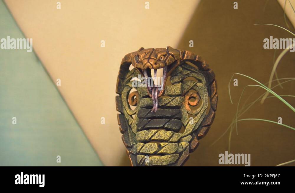 Scary snake Stock Videos & Footage - HD and 4K Video Clips - Alamy