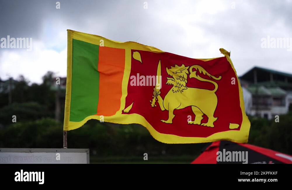 English lion flags Stock Videos & Footage - HD and 4K Video Clips - Alamy