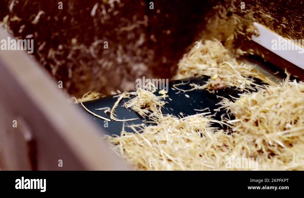 Industrial food waste Stock Videos & Footage - HD and 4K Video Clips ...