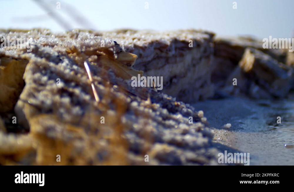 Amman beach dead sea Stock Videos & Footage - HD and 4K Video Clips - Alamy