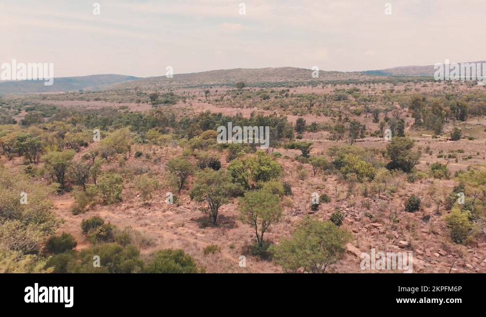 Savannah ecosystem Stock Videos & Footage - HD and 4K Video Clips - Alamy