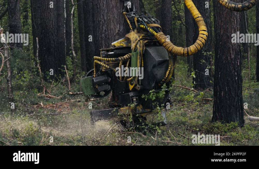 Equipment for felling Stock Videos & Footage - HD and 4K Video Clips ...
