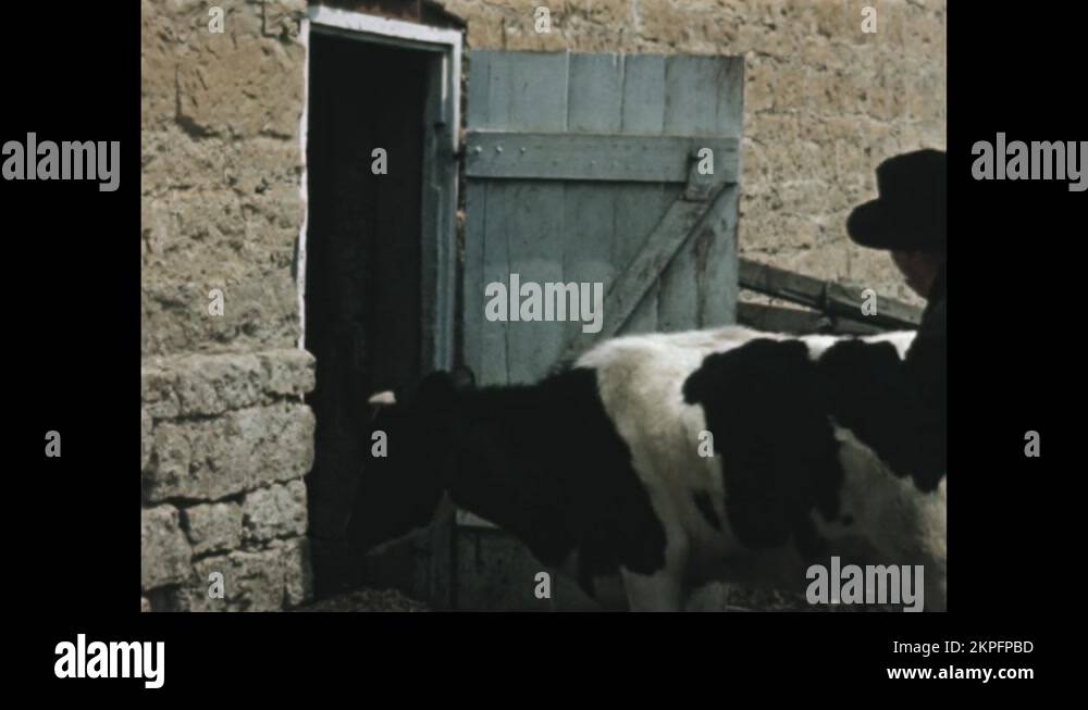 1850s: Man pushes cow, then enters barn. Cow enters barn. Man closes ...