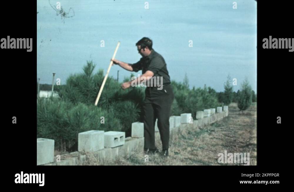 Uniform rows of trees Stock Videos & Footage - HD and 4K Video Clips ...