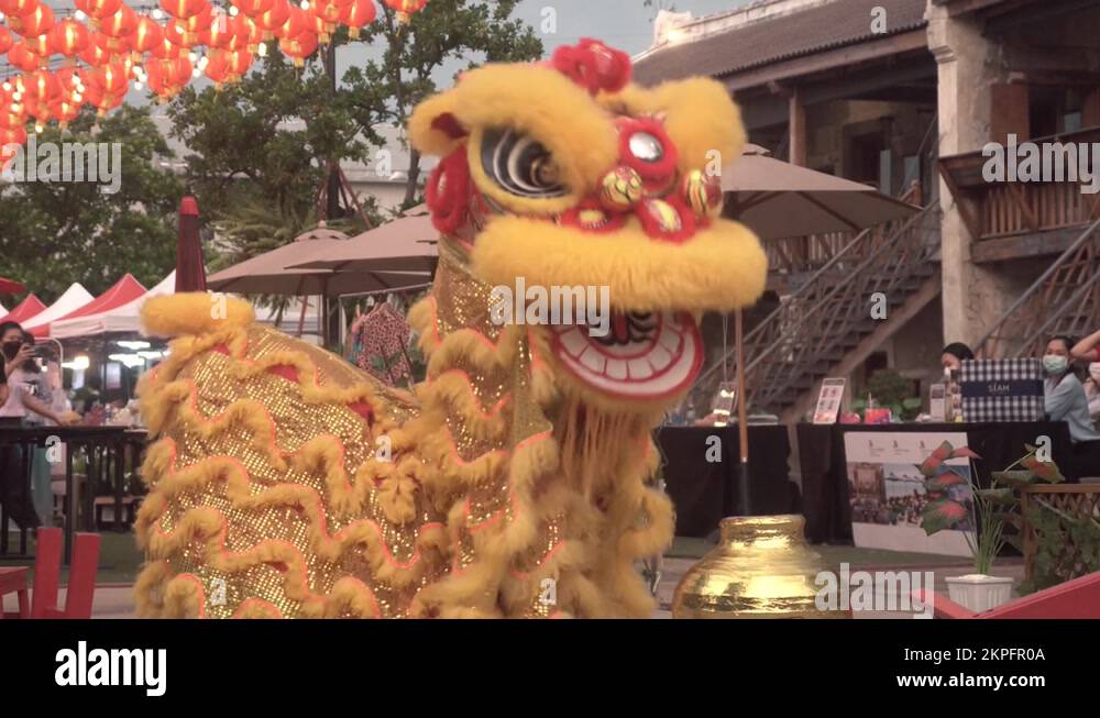 2022 year of the lion Stock Videos & Footage - HD and 4K Video Clips ...