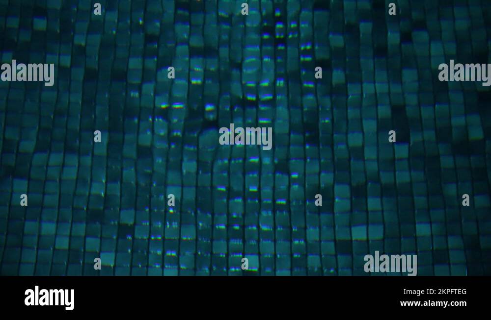 Small square tile pattern Stock Videos & Footage - HD and 4K Video ...