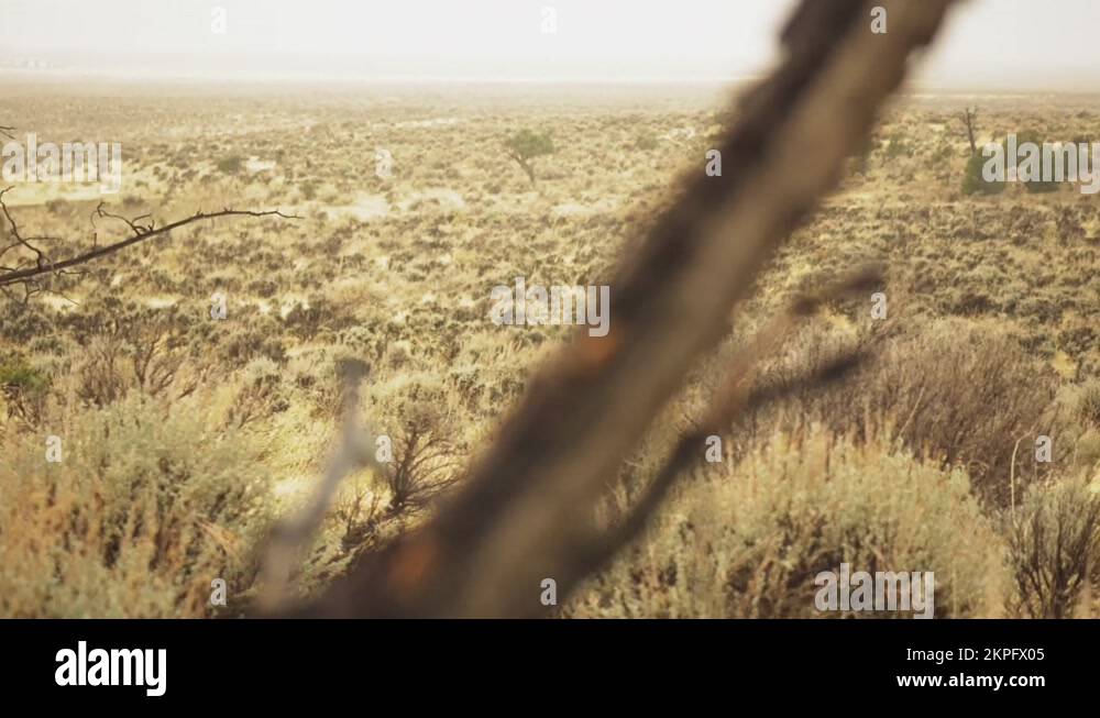 Scrubland Stock Videos & Footage - HD and 4K Video Clips - Alamy