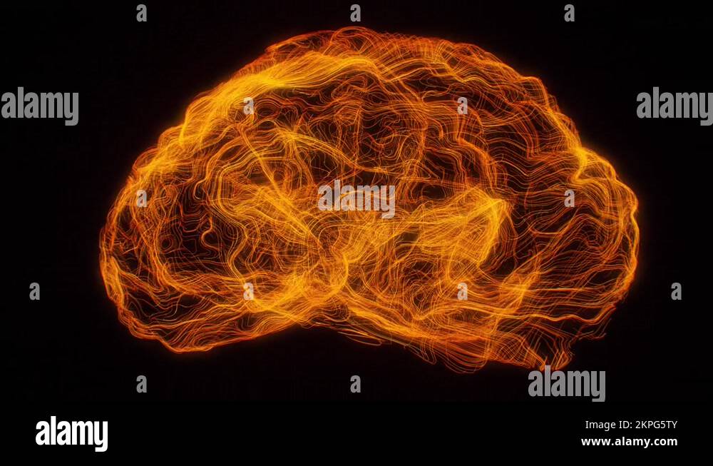 Deep human connection Stock Videos & Footage - HD and 4K Video Clips ...