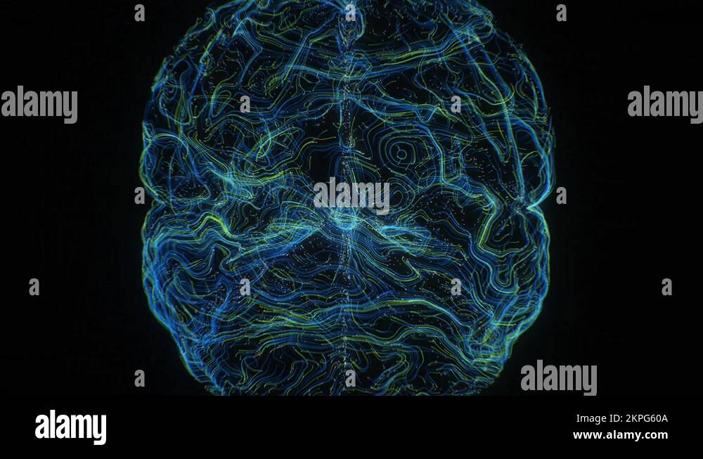 Zoom out human brain neural networking particles grid big data flow ...